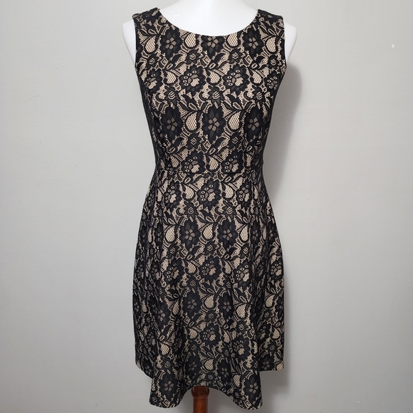 Enfocus Studio | Dresses | Enfocus Studio Black Lace Fit And Flare ...